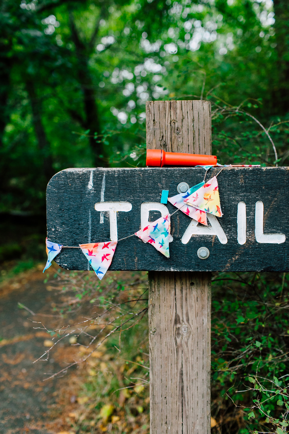 Jessica + Shawn Wedding, Moran State Park, Orcas Island WA — Katheryn ...