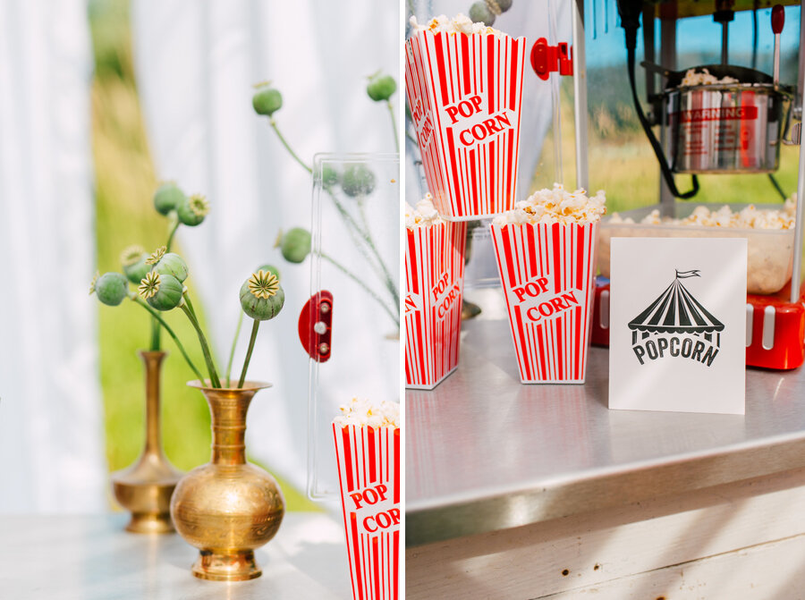 Bellingham Circus Photographer