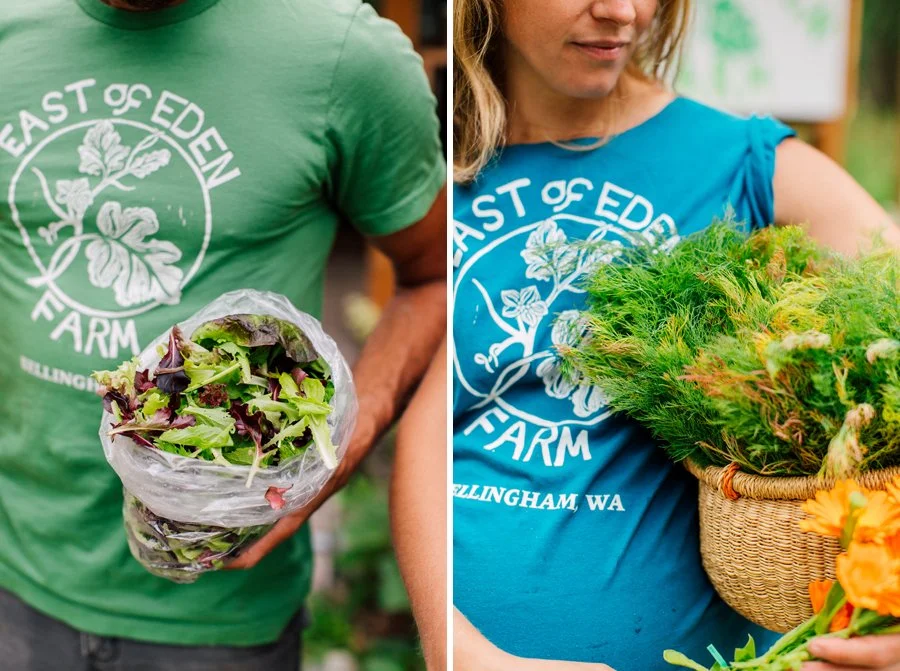 Bellingham Farm Photographer East of Eden Farm