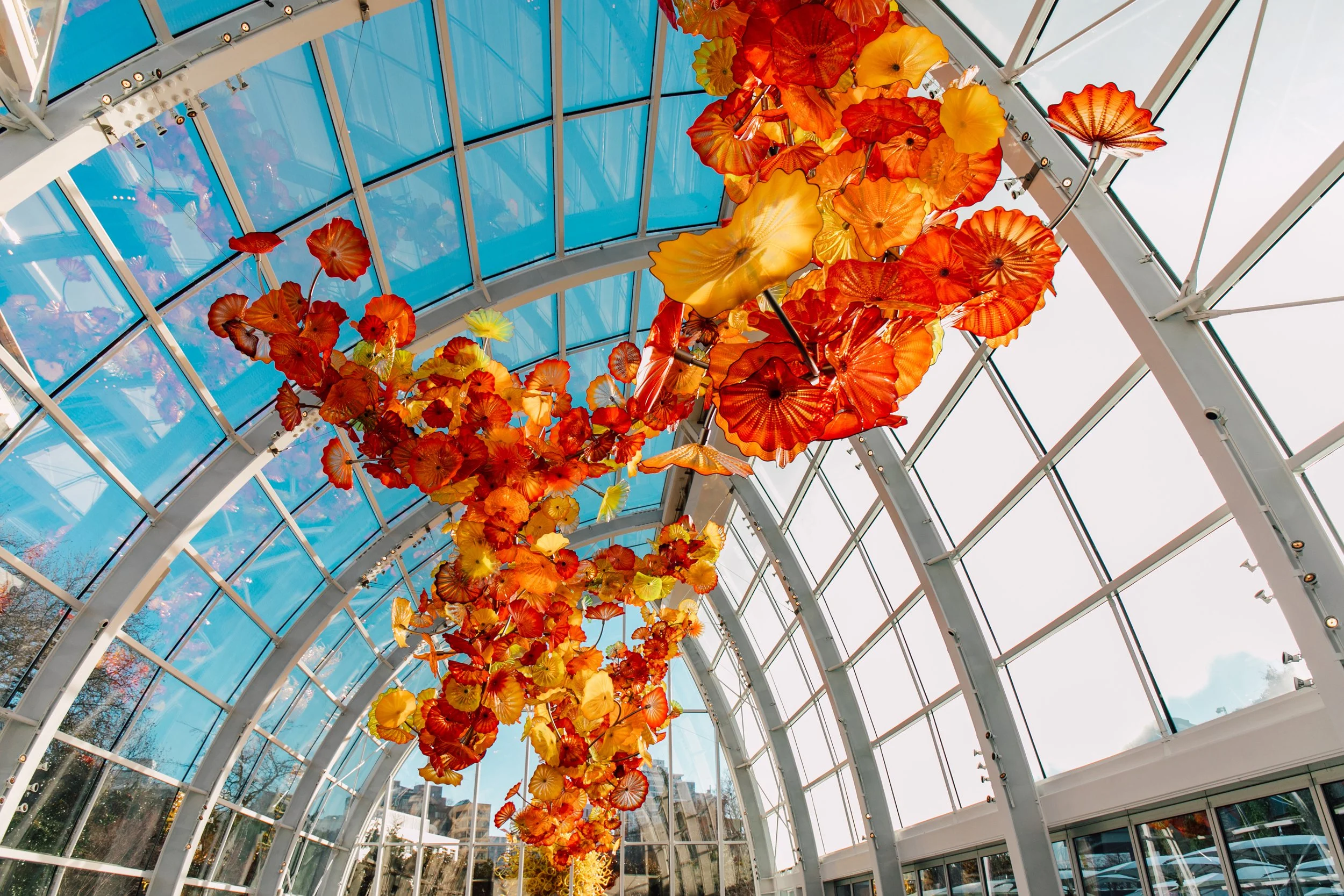 The Chihuly Glass Museum, Seattle Photographer — Katheryn Moran ...