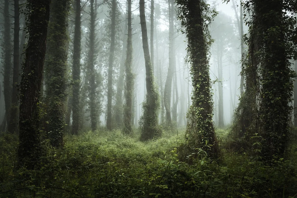 Spain — Christian Hoiberg Landscape Photography