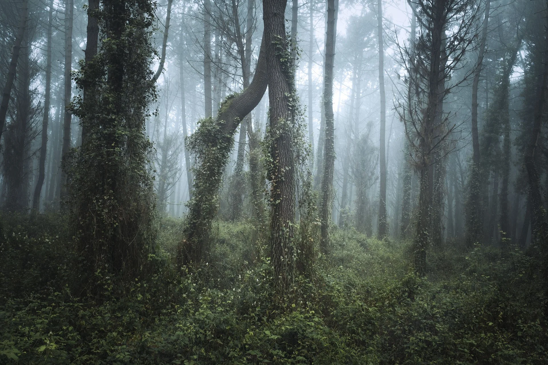 Spain — Christian Hoiberg Landscape Photography