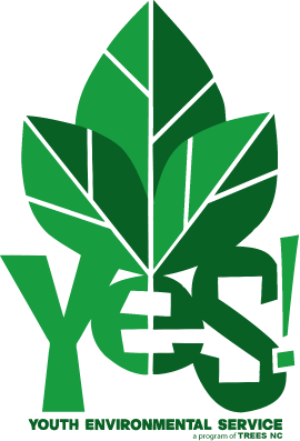 TreesNC