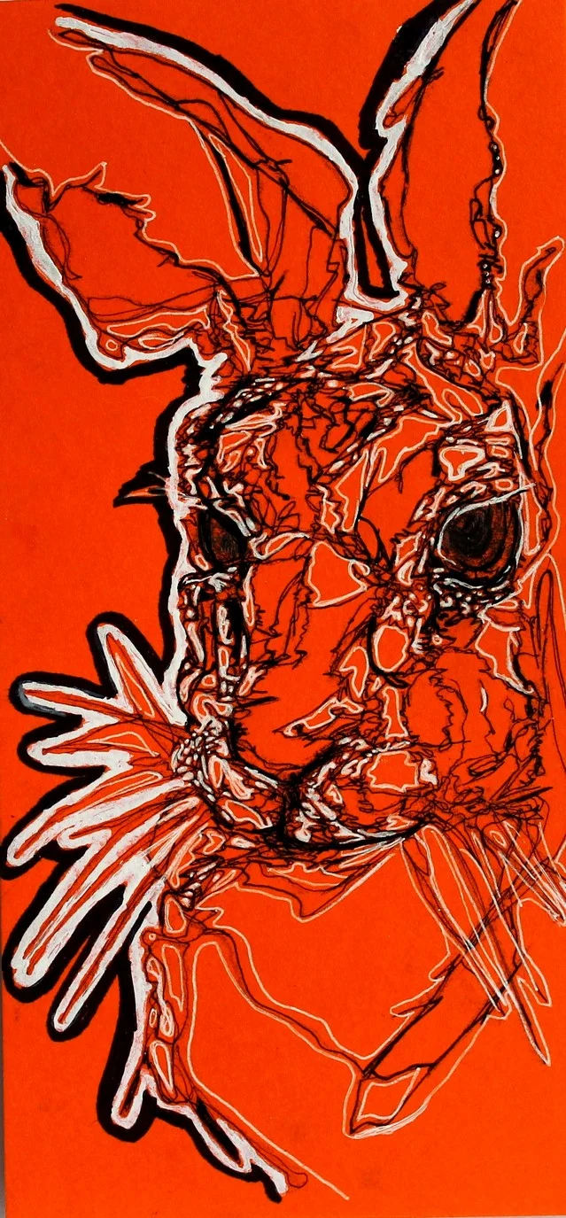 Spring Hare Studies — Oddkness