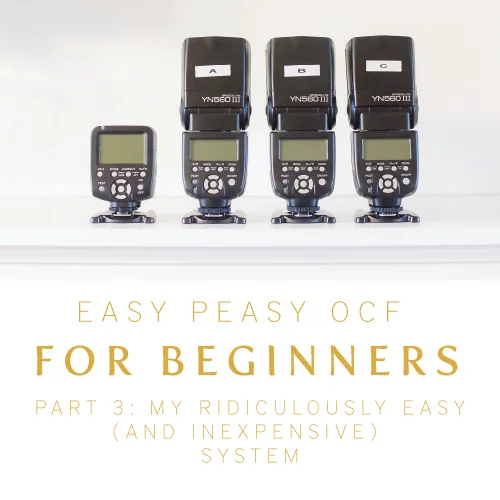 Easy system for off camera flash — Waco, TX Family Photographer