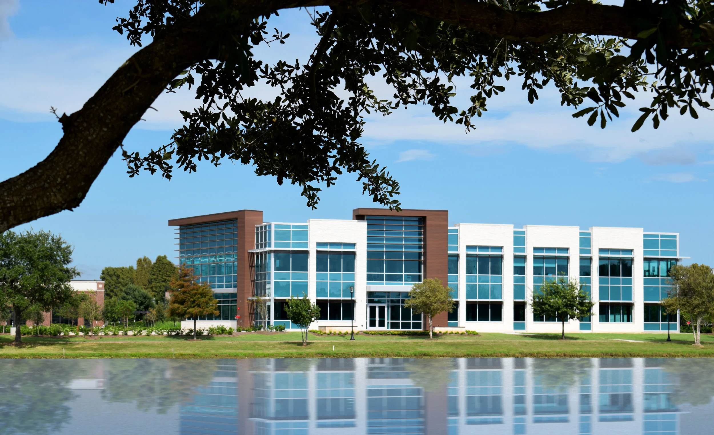 The Importance Of Green Space In Architecture IdentityARCHITECTS