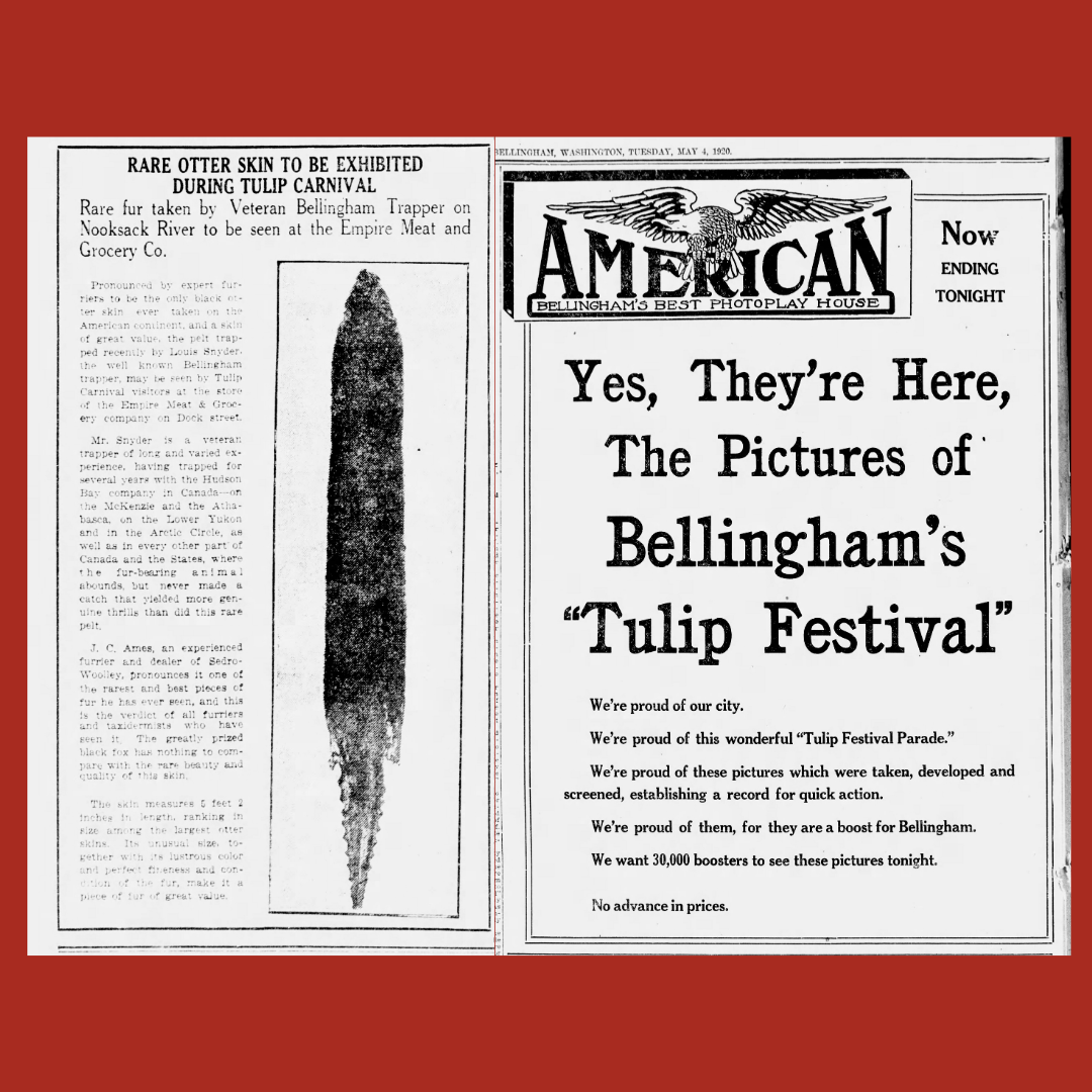 The Podcast: Spring Festivals in Bellingham — BELLINGHISTORY with the ...