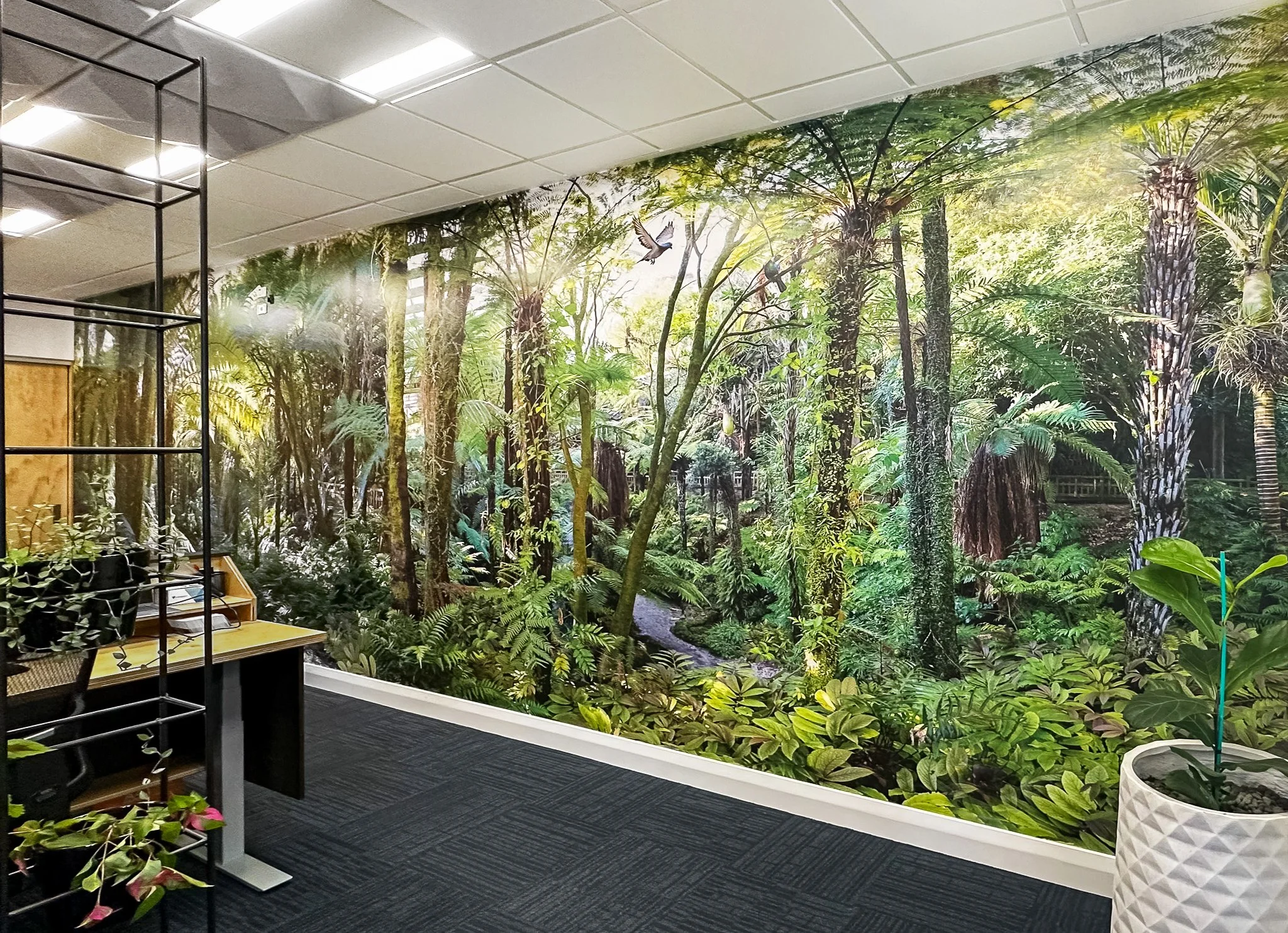 Splashback examples — Printed 'images on glass' kitchen splashbacks and ...
