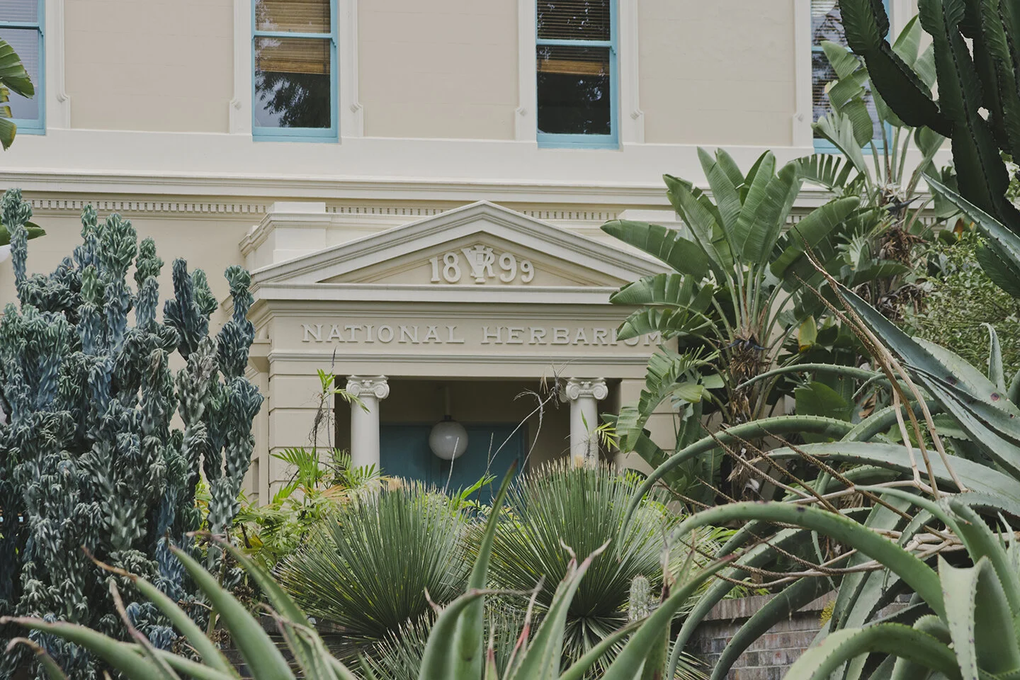 Succulents and Skyscrapers: Touring the Royal Botanic Gardens in Sydney ...