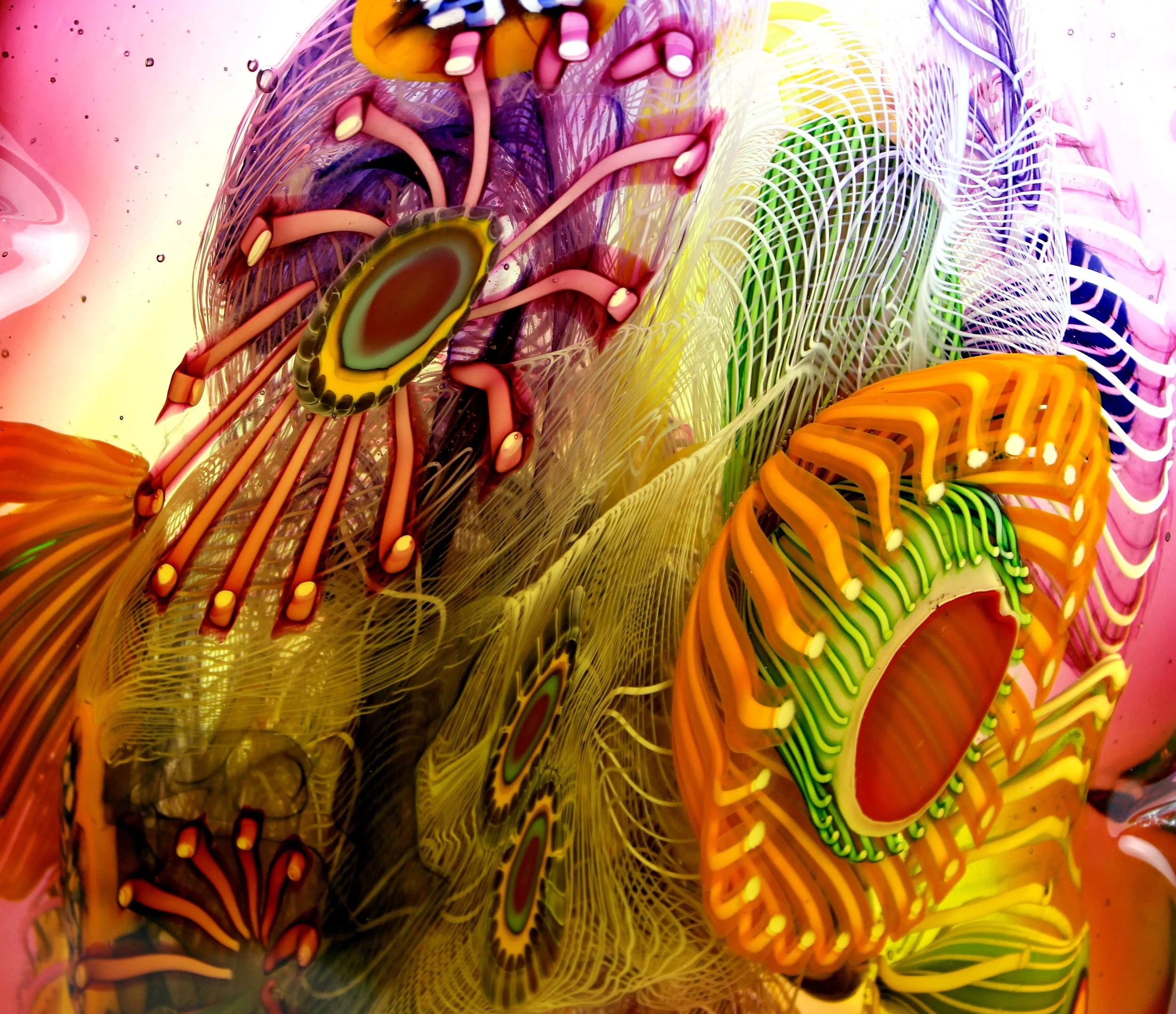 Color Tint Optical — Hunting Studio Glass