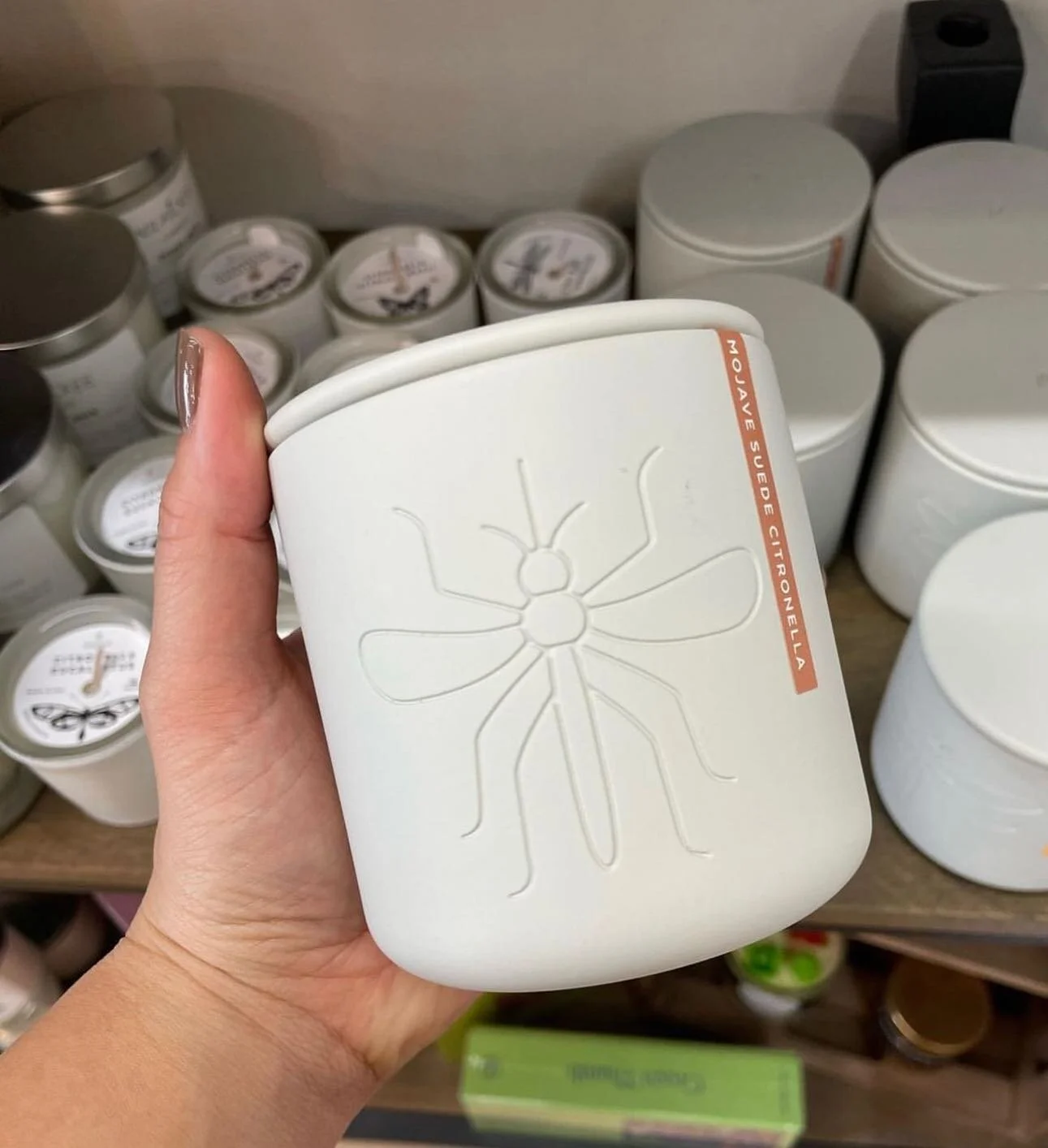 Apothecary Match Bottles, Many Styles - Sizes — Skeem Design