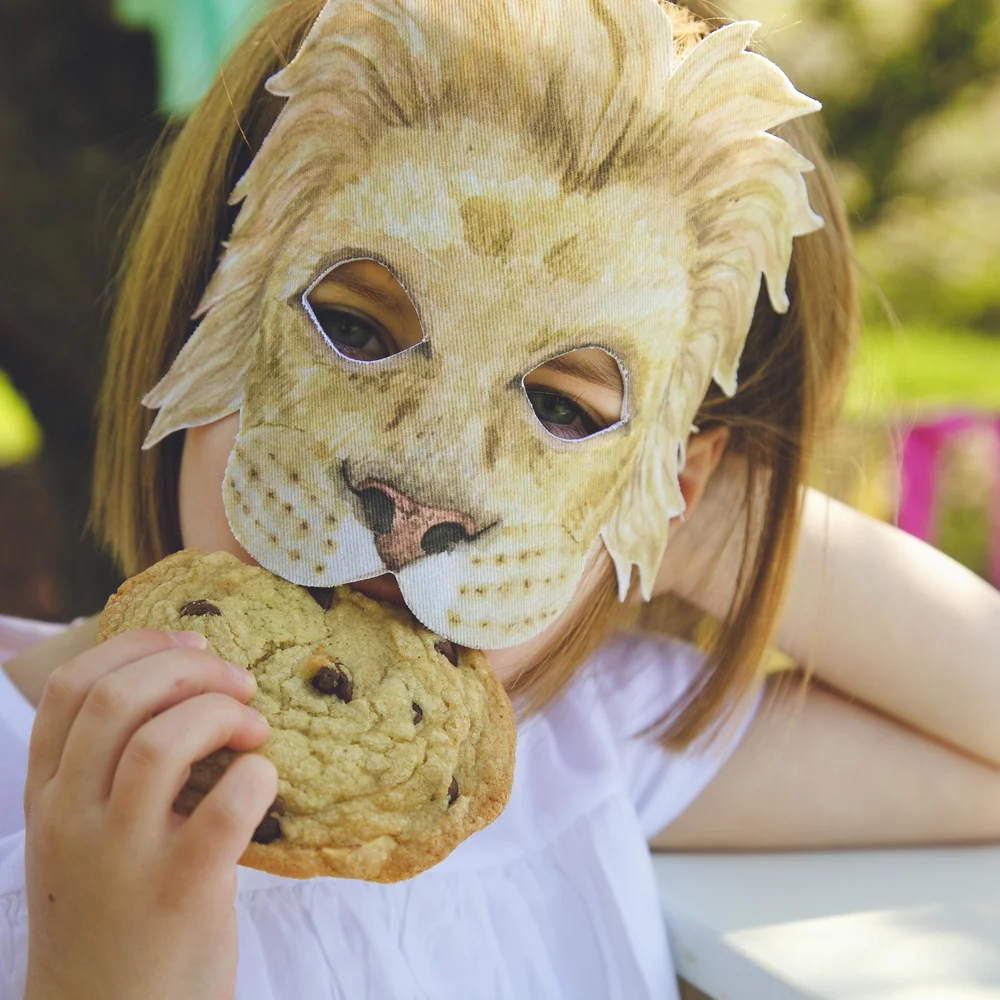 Children's Circus Animal Masks — Wonderful Collective