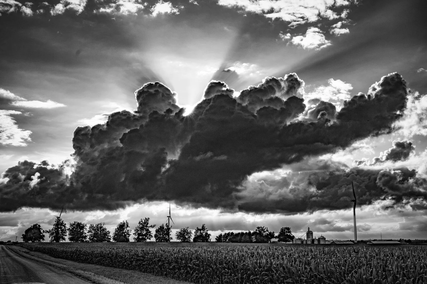 Steve Hartman Art - supports art advisors, art consultants and interior ...