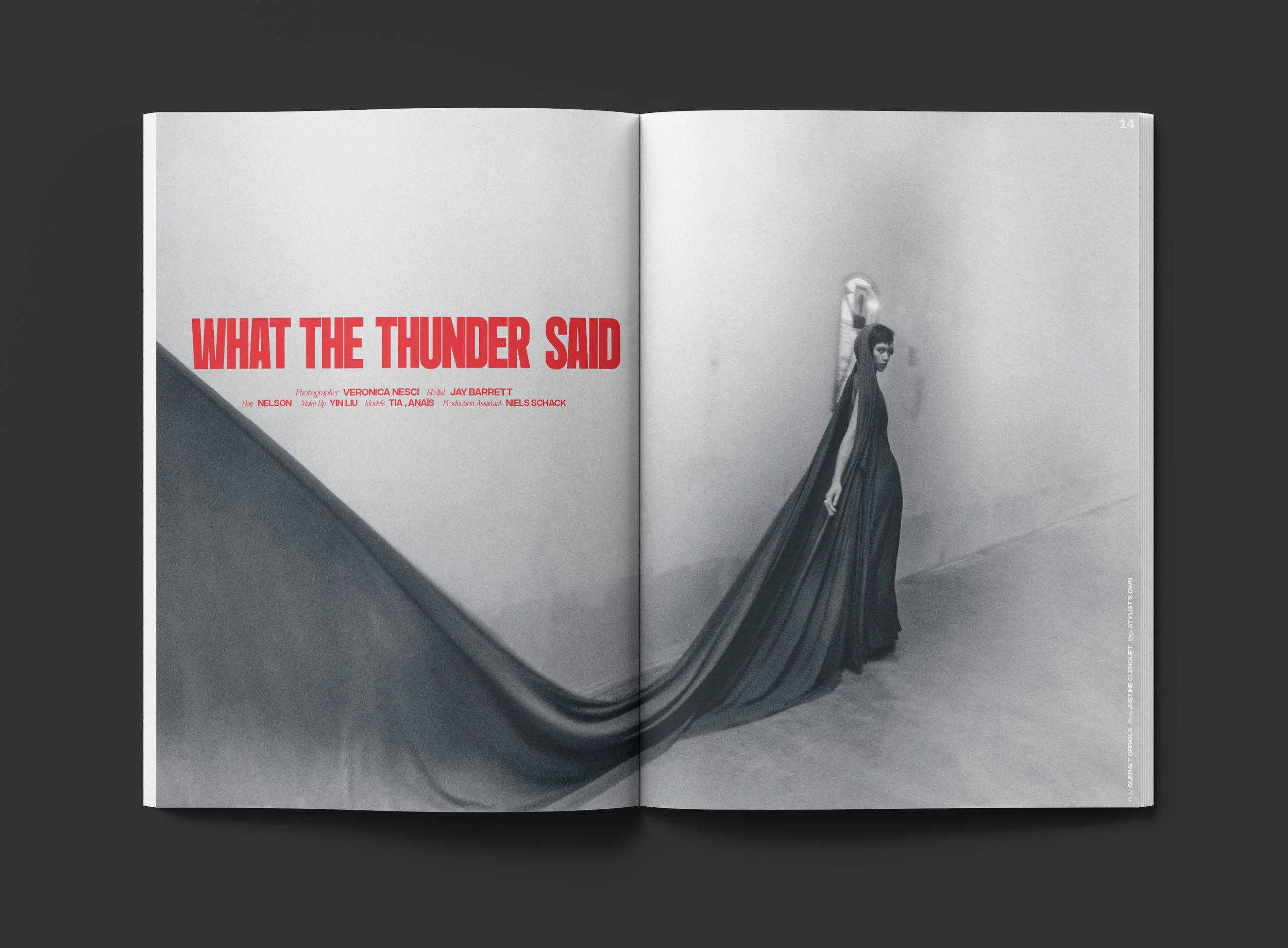 Domina Journal — RA & OLLY LTD