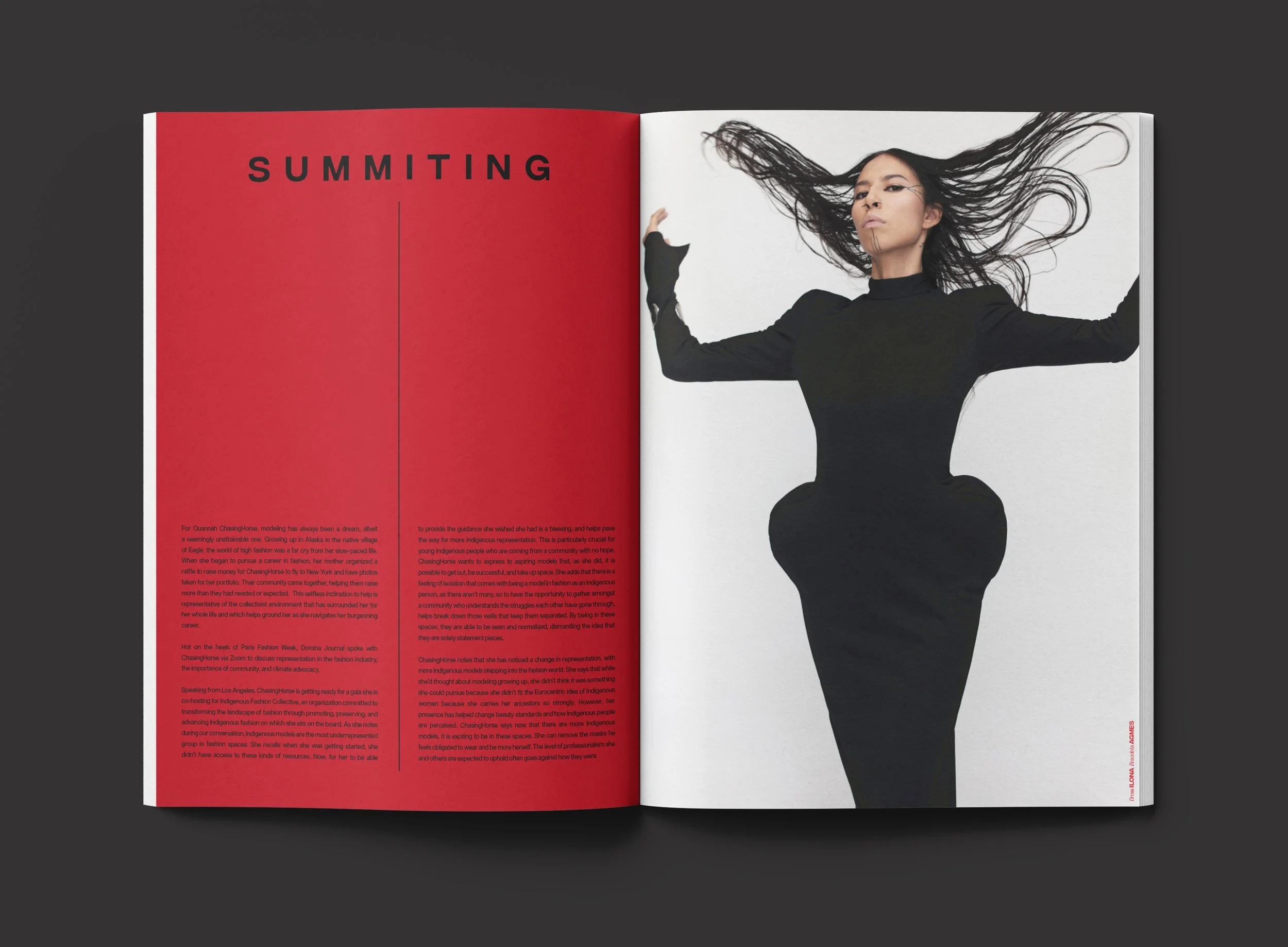 Domina Journal — RA & OLLY LTD