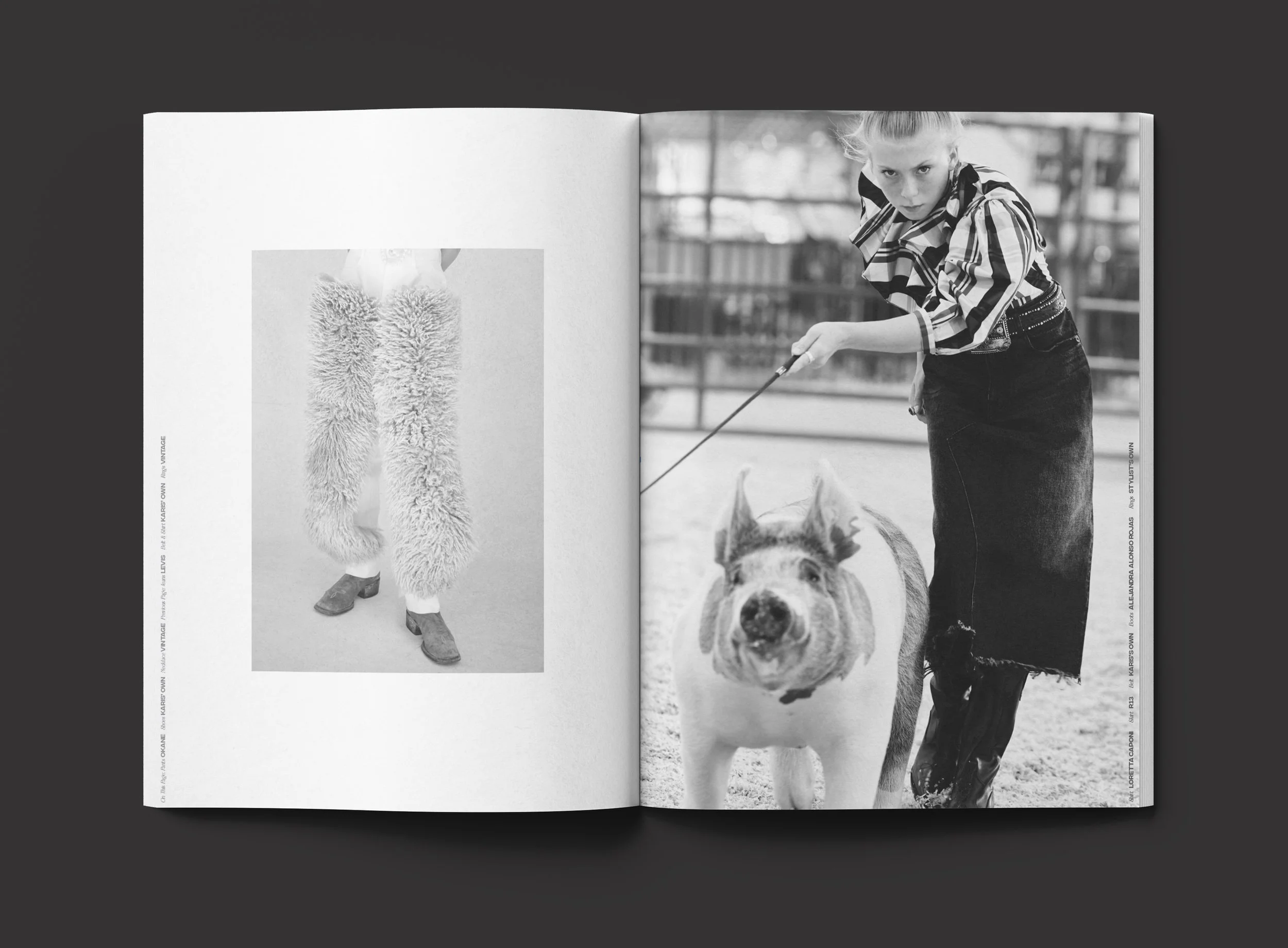 Domina Journal — RA & OLLY LTD