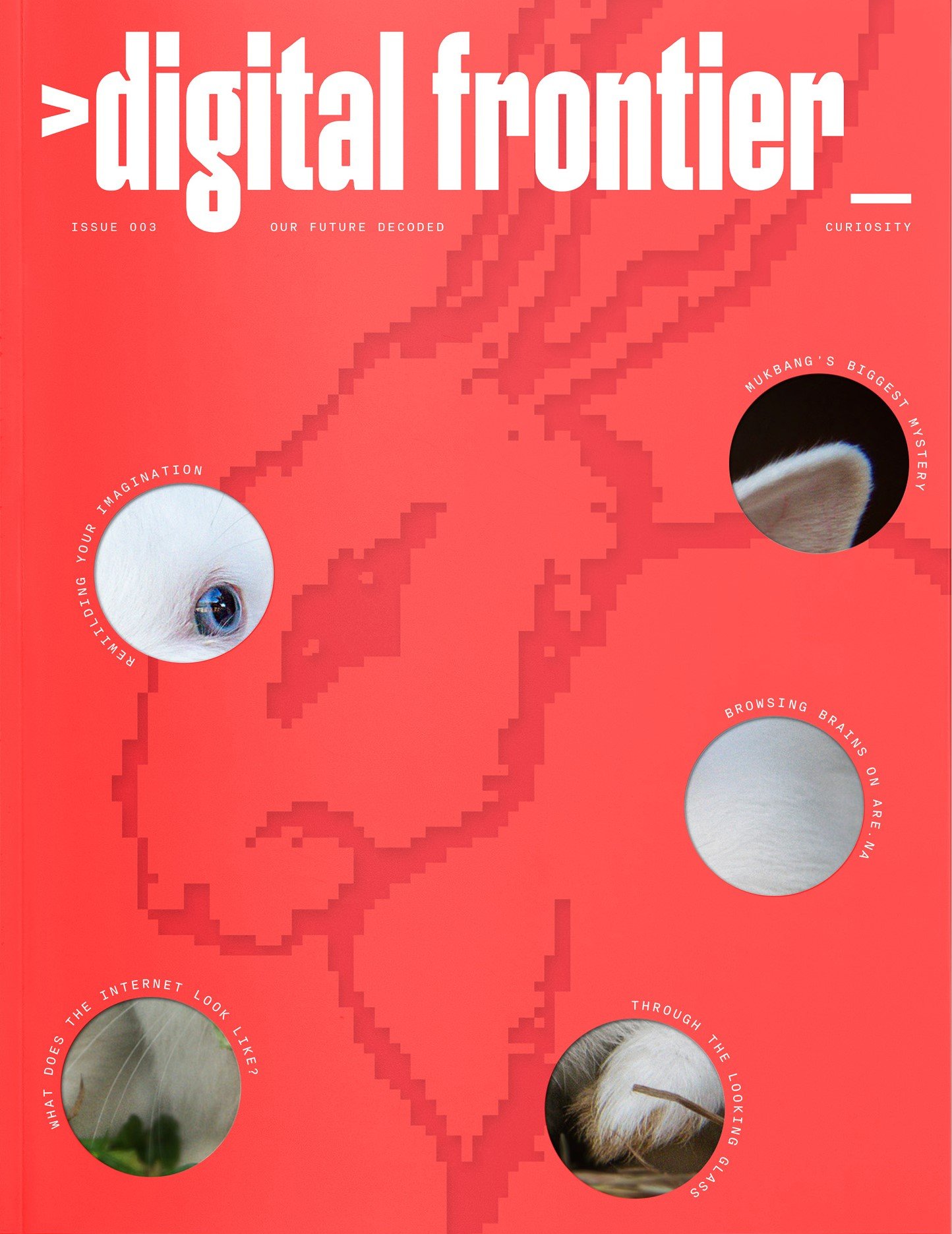 Digital Frontier — RA & OLLY LTD