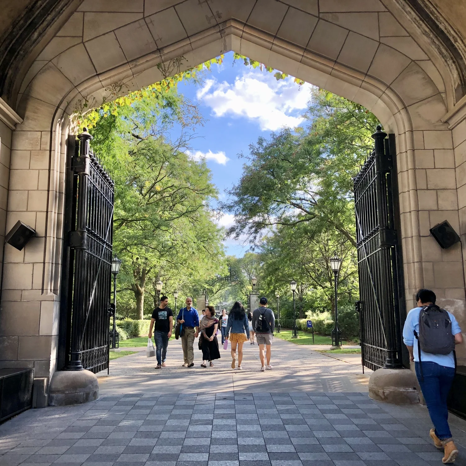 David Wallace Haskins – Highlights