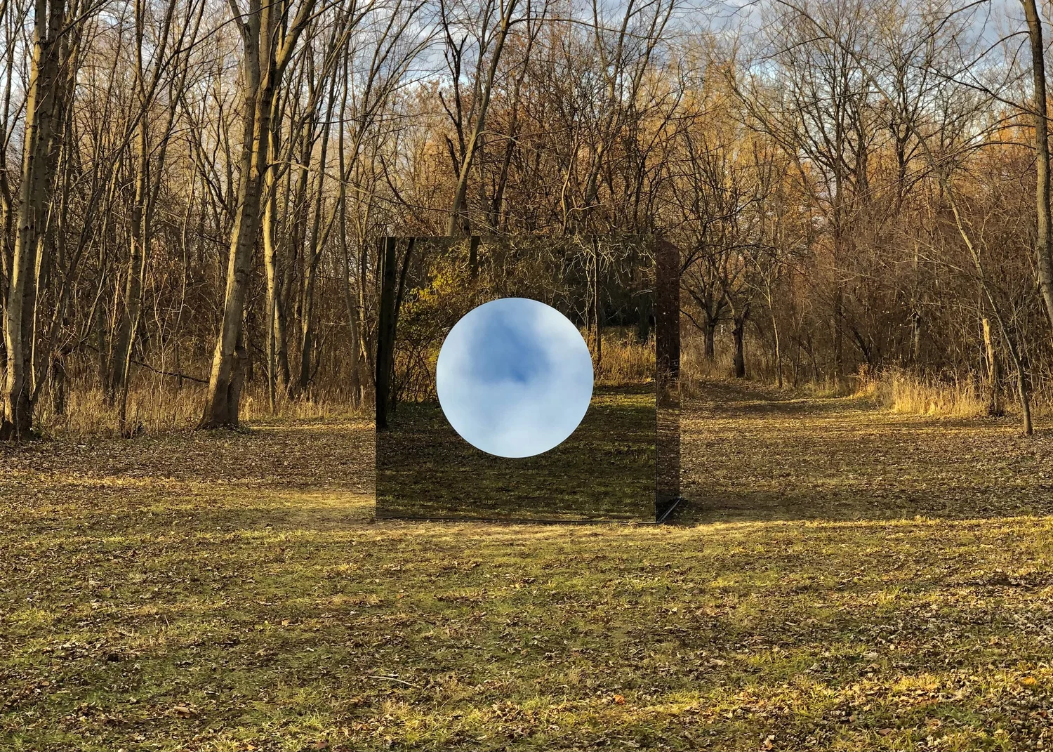 David Wallace Haskins – Highlights