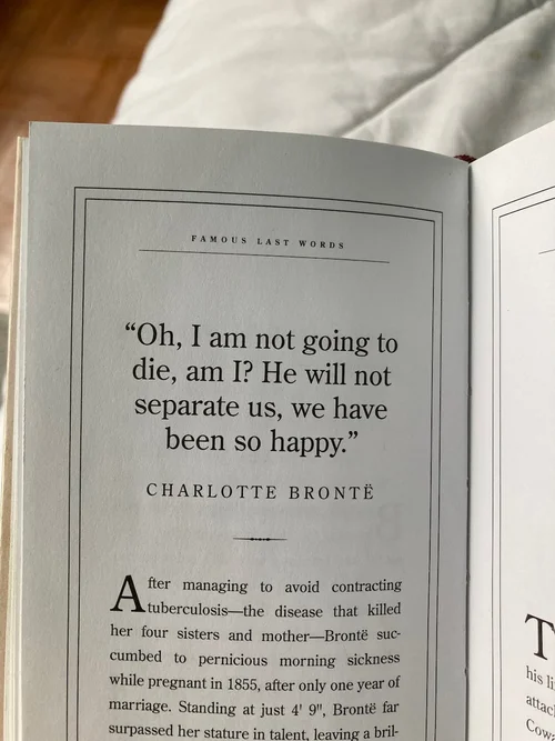 January Jewels 2024 — LIZ HEATHER