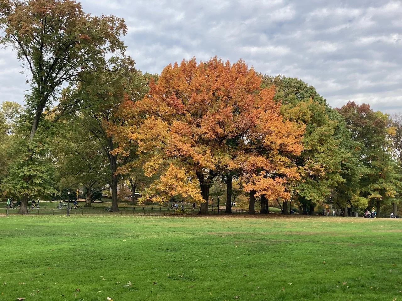 October Occurrences 2022 — LIZ HEATHER
