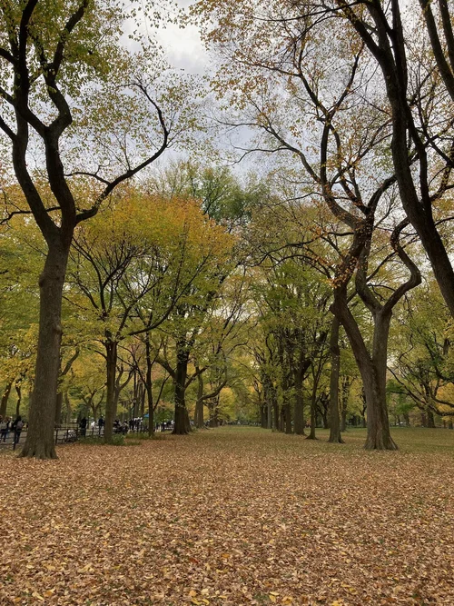 October Occurrences 2022 — LIZ HEATHER