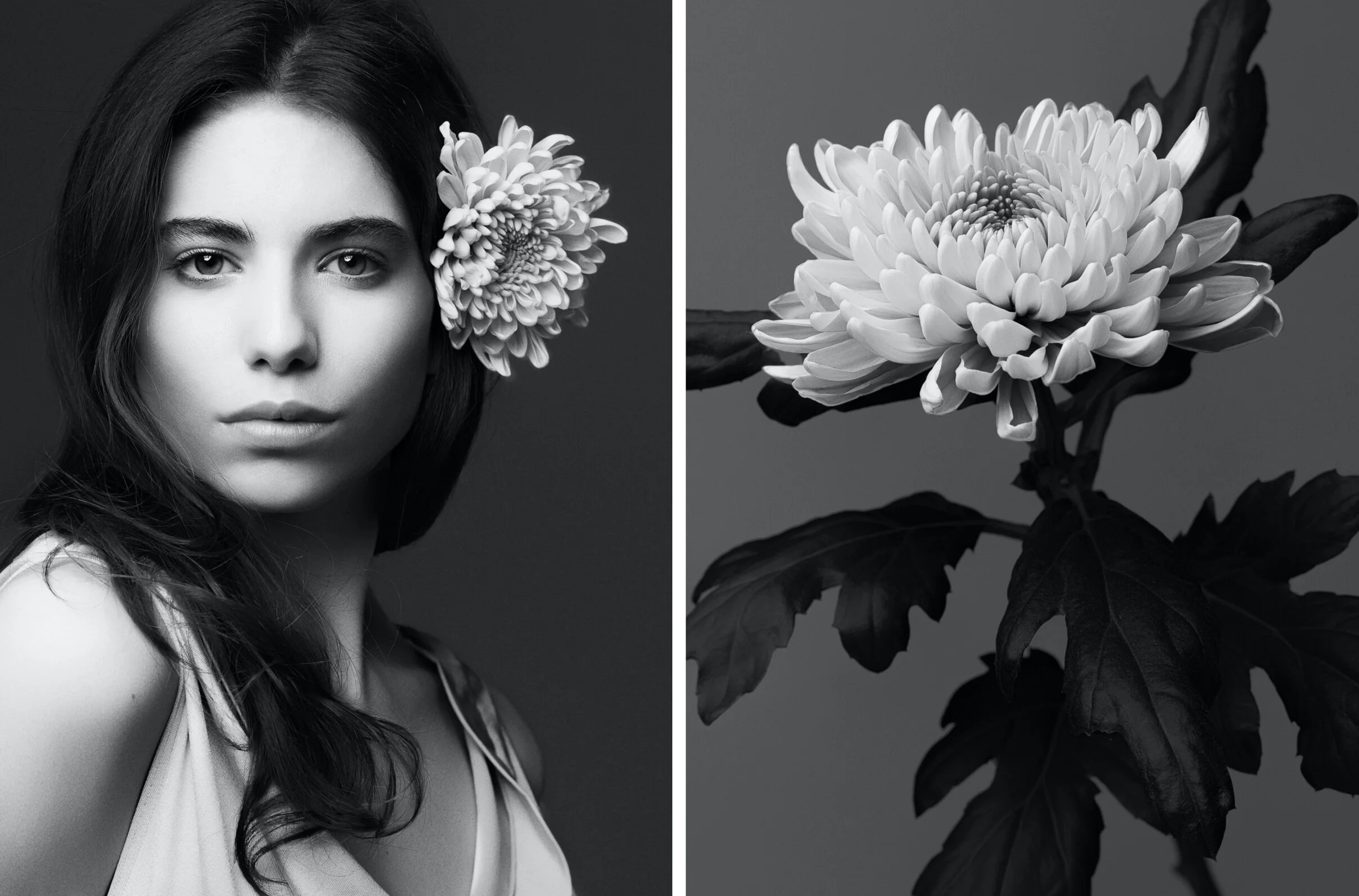 TESTS & BOOKS — Pablo Rodrigo Studio