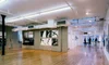 Van Alen Institute — LTL Architects