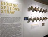 Biogenic Sections : Straw — LTL Architects
