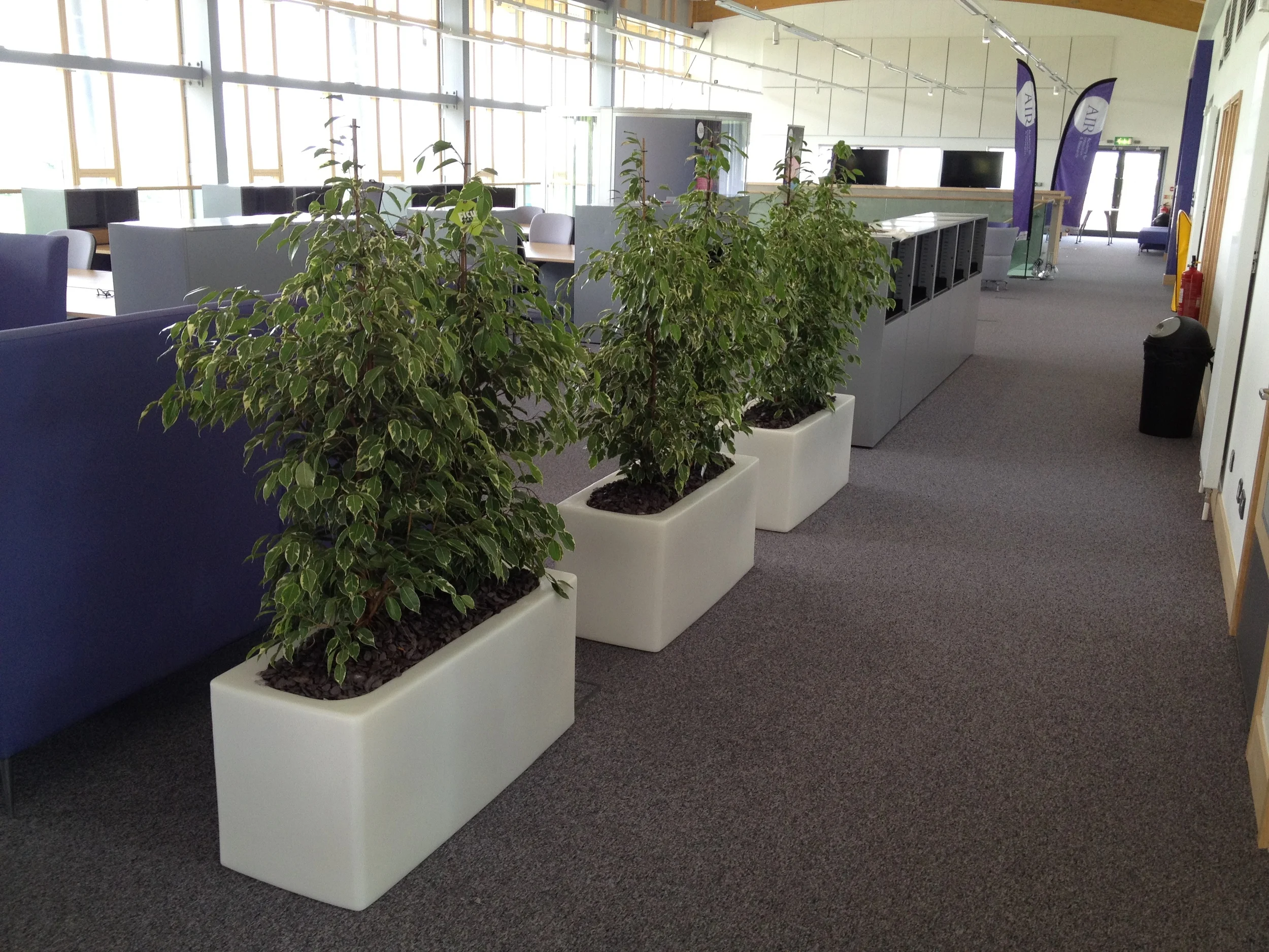 Plants — greenplants.co.uk