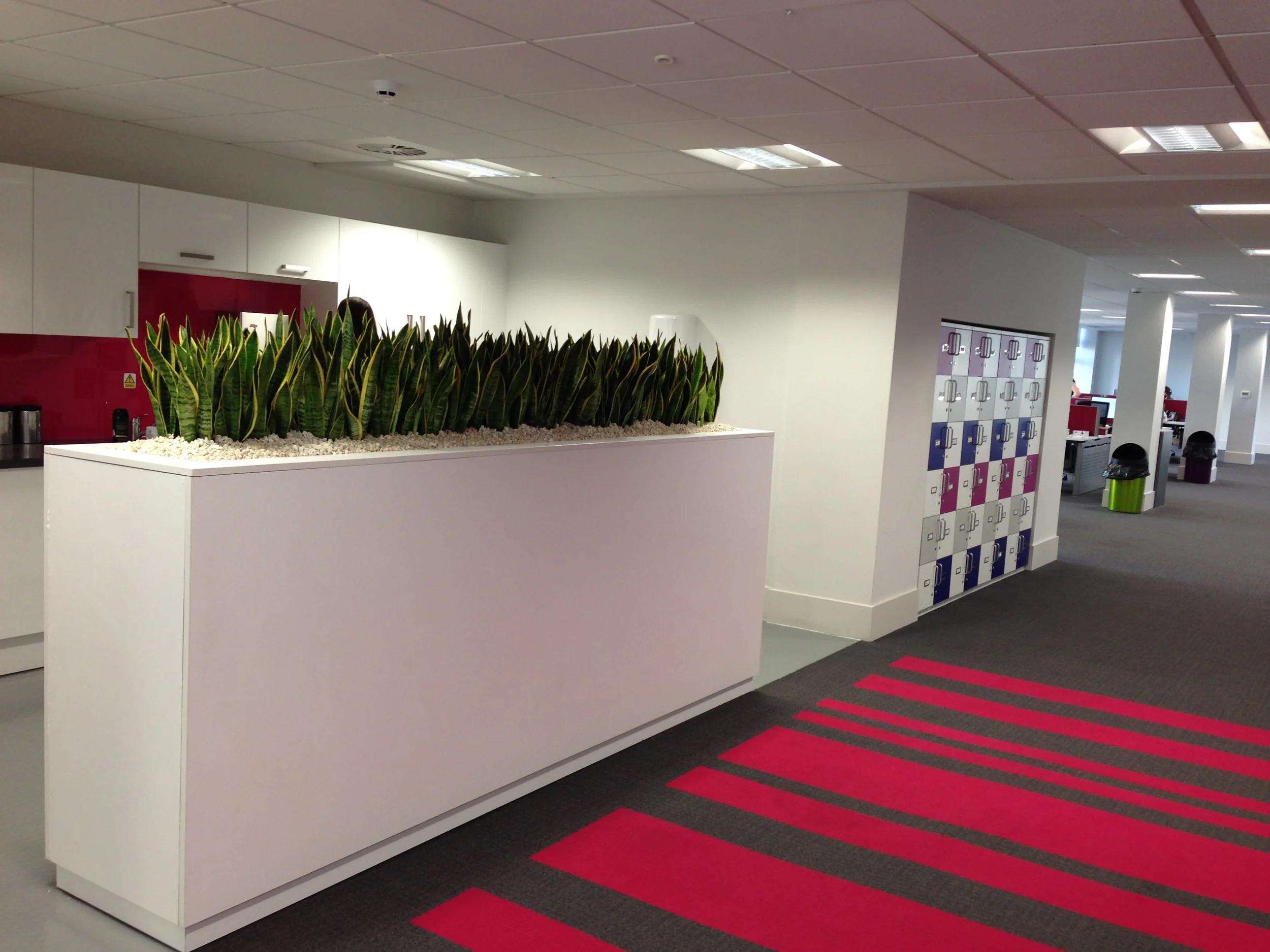 Plants — greenplants.co.uk