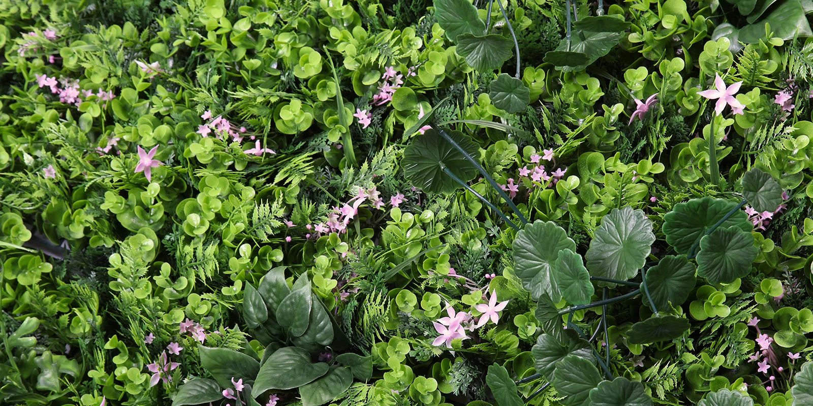 Office plants to buy or rent - live and artificial plant displays in ...