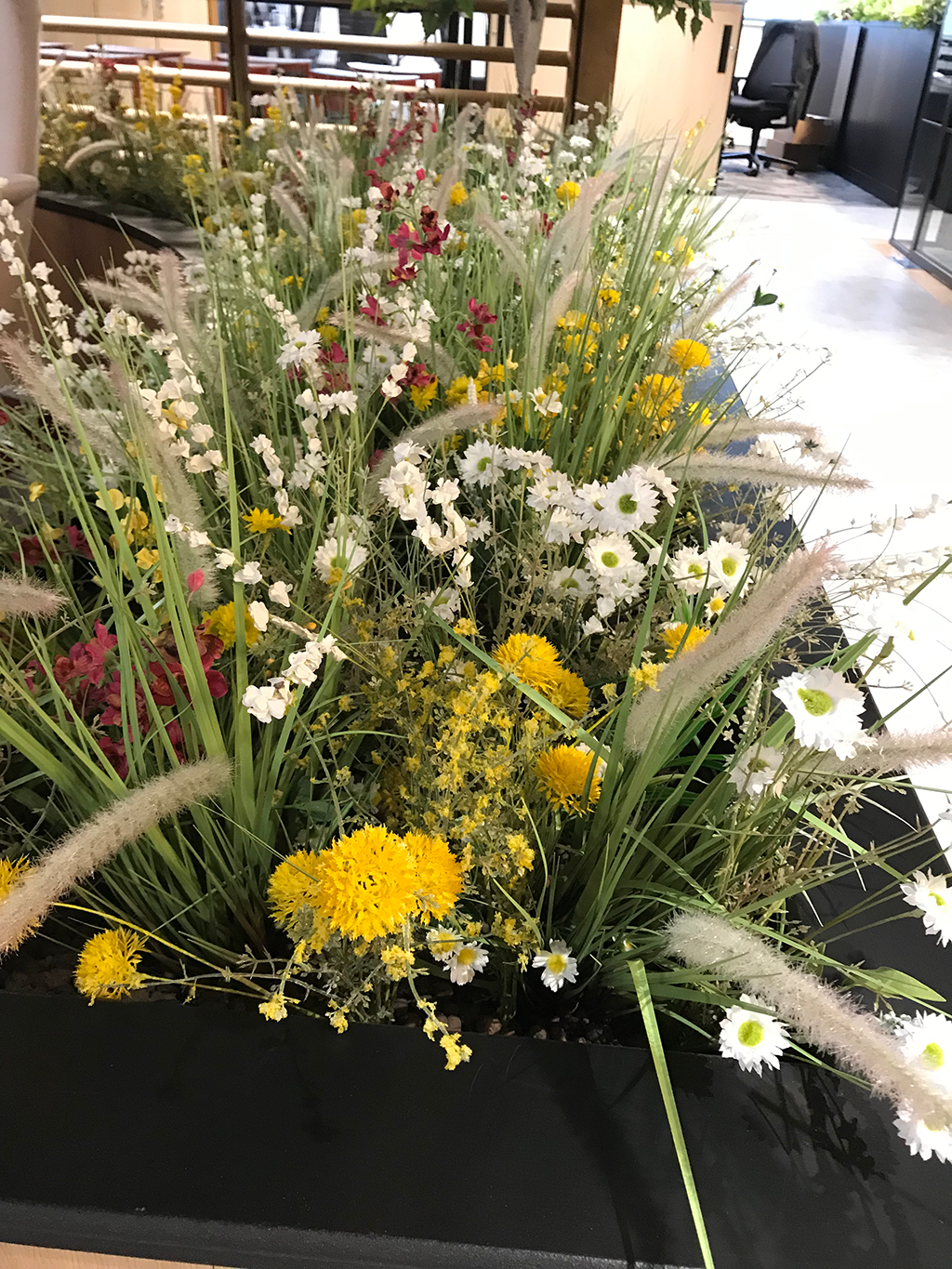 Office plants to buy or rent - live and artificial plant displays in ...