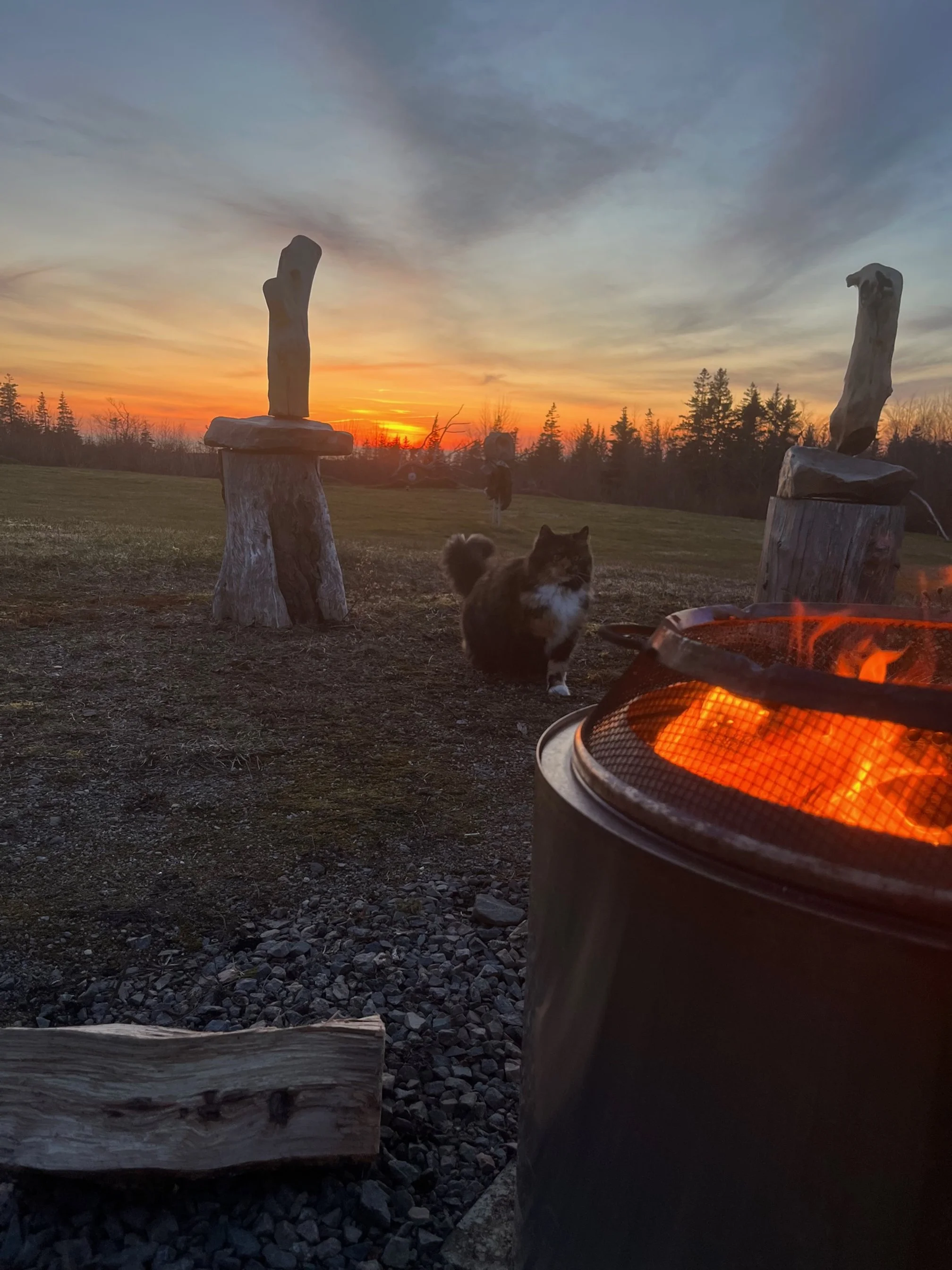 Accommodations — Doug Fraser Art :: Cape Breton Artist