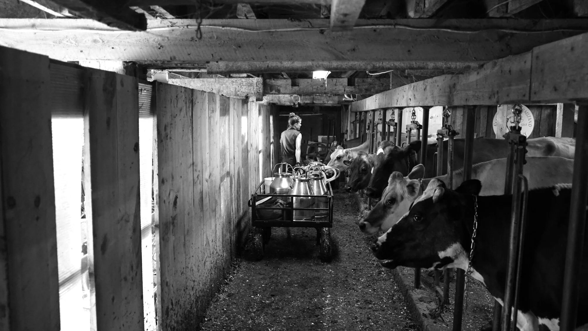 Farming small — Geoffrey Gevalt Telling Stories