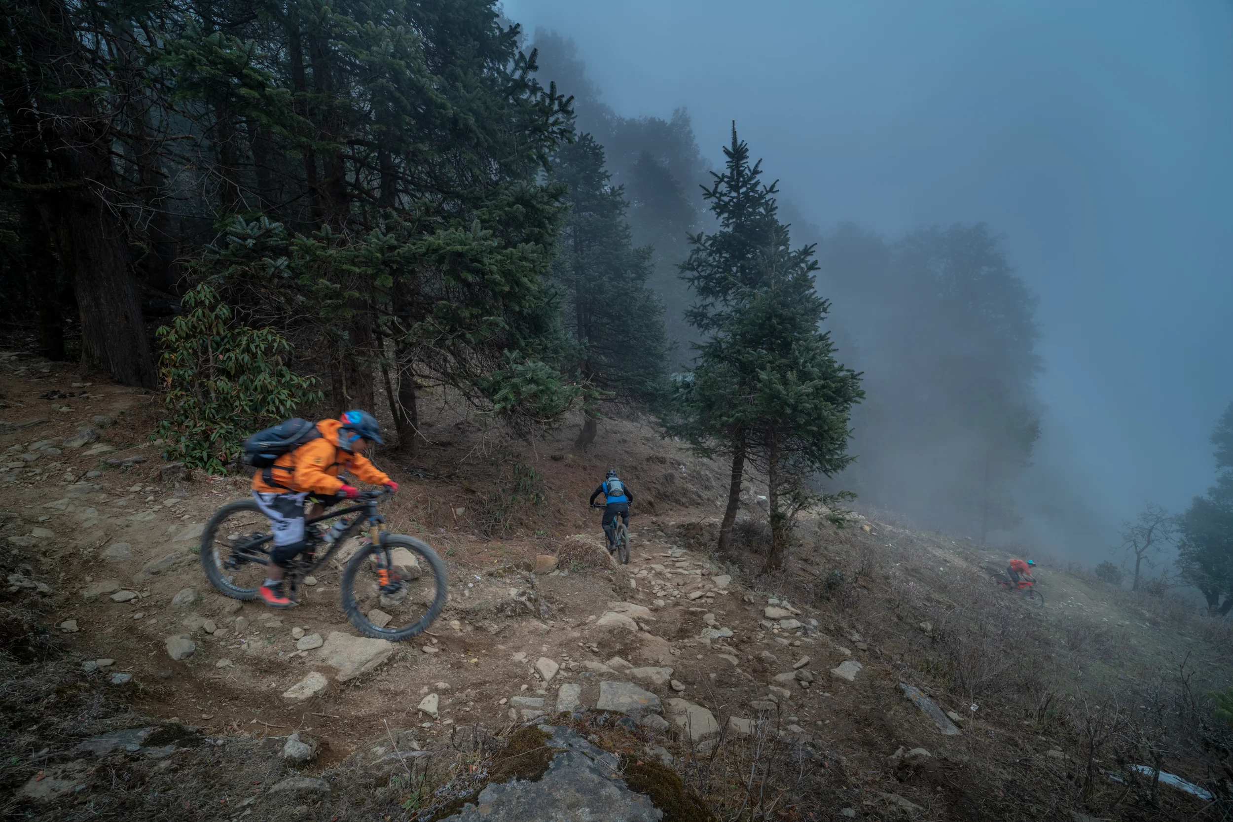 Journal — Alex Treadway