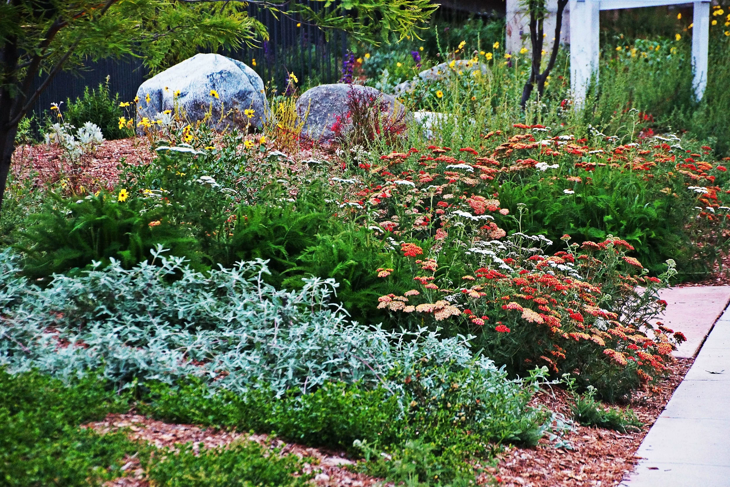 News | McCullough Landscape Architecture — McCullough | San Diego