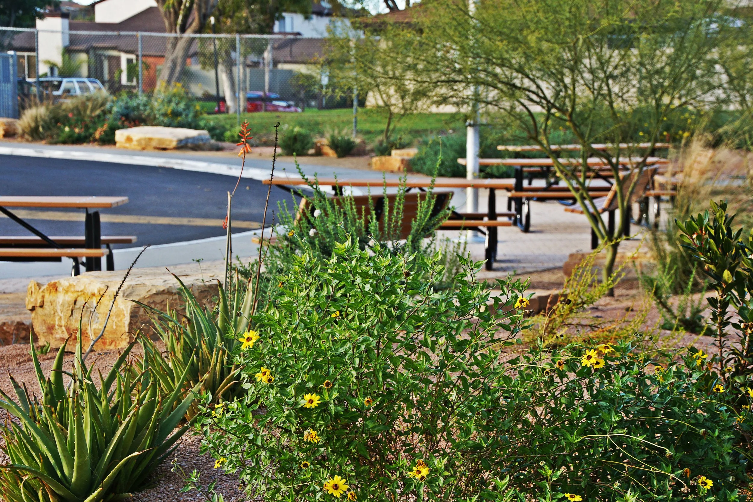 Howard Pence Elementary School — McCullough | San Diego