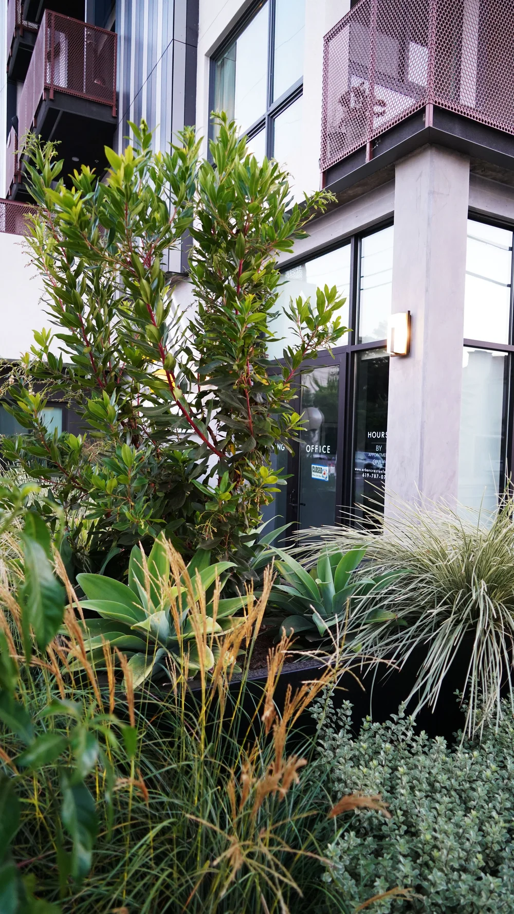 Arbor Crest — McCullough | San Diego