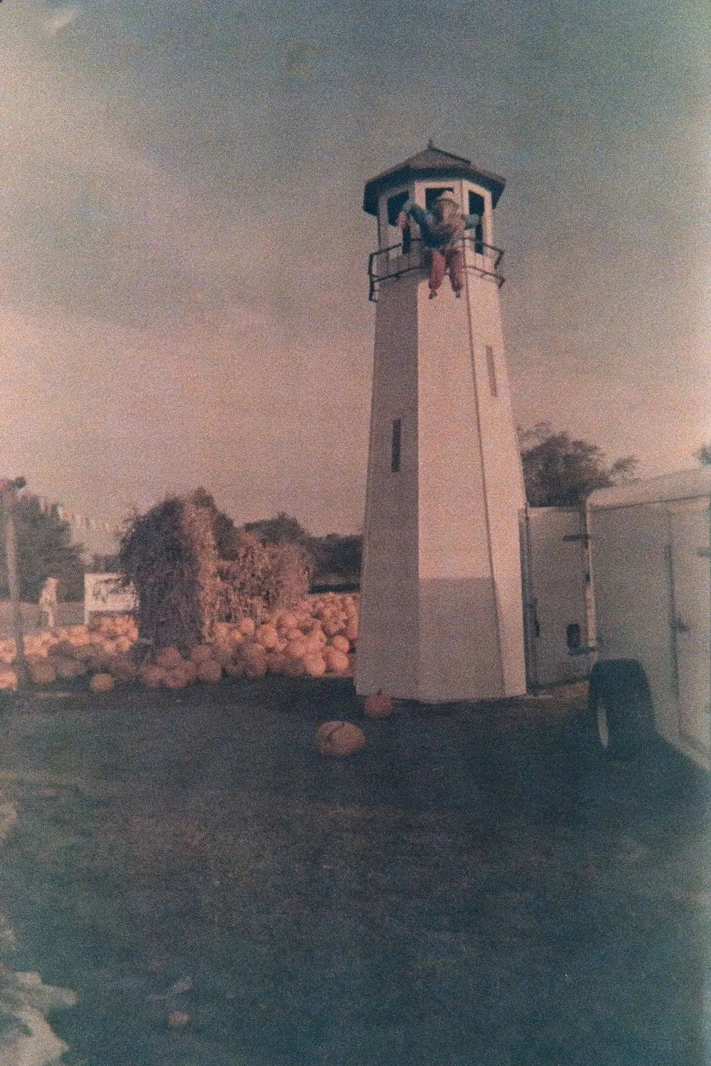 Can You Still Develop Old Disposable Throwaway Cameras?