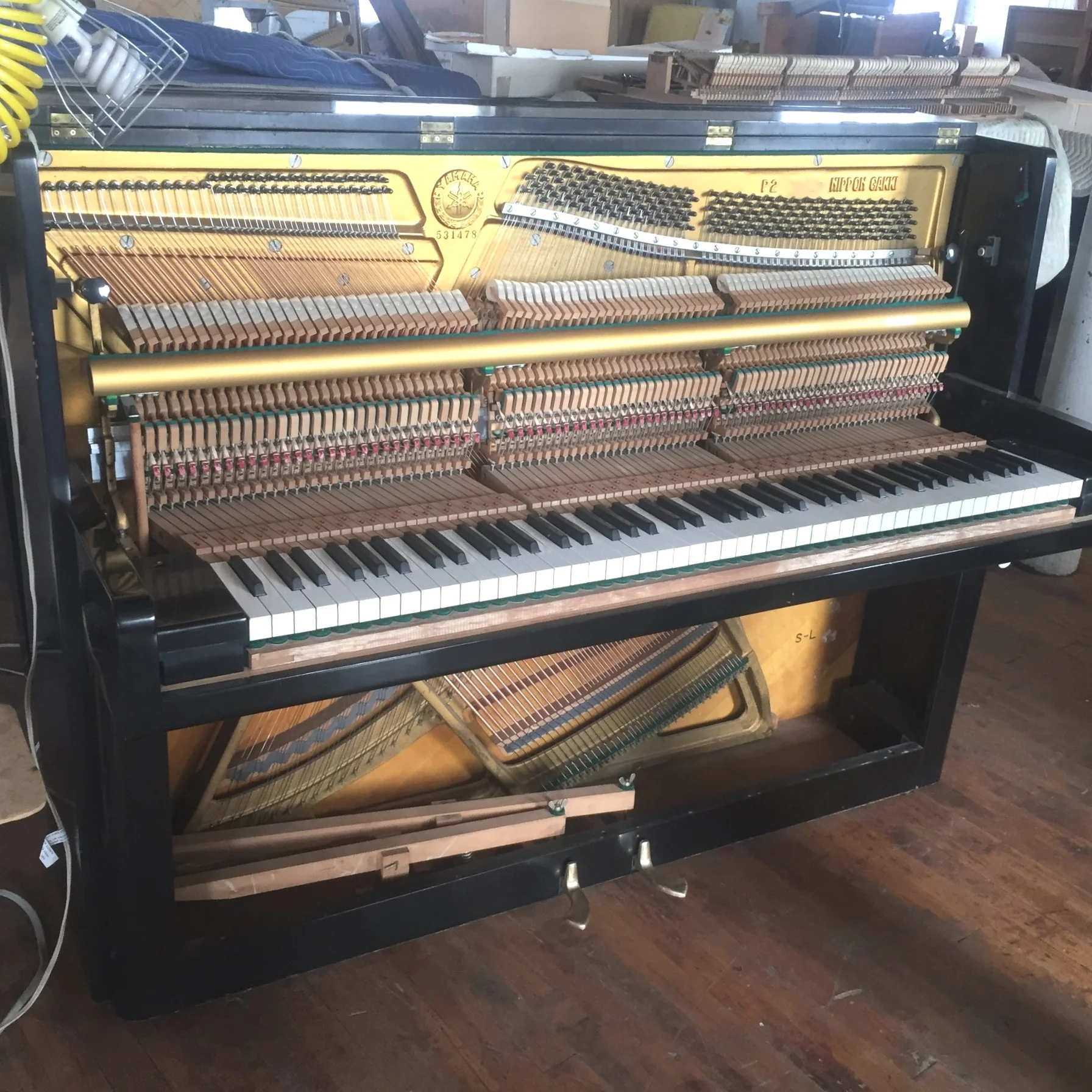 Absolute Piano | Affordable Quality Piano - NYC Piano Store