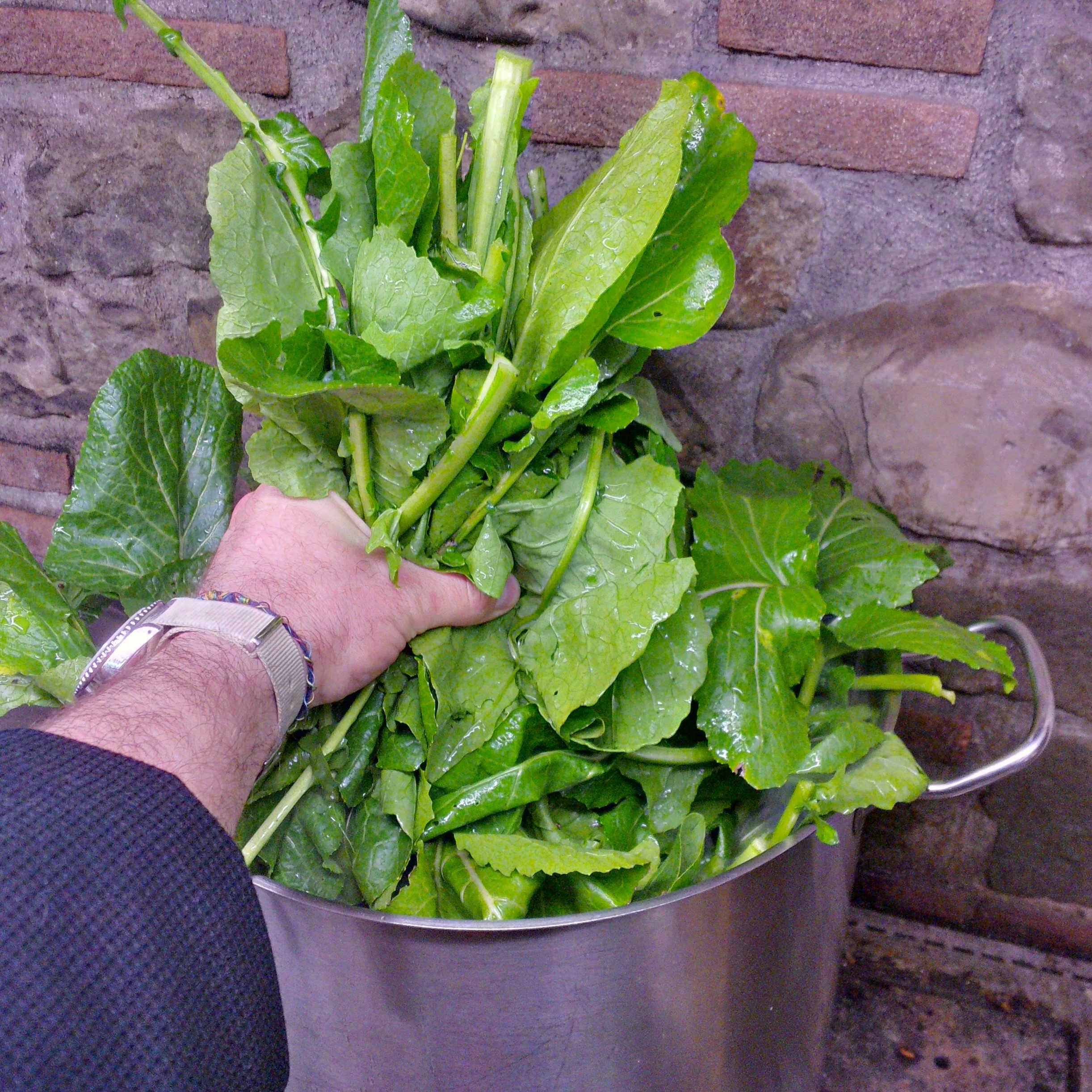 Antica Cucina — Travelingnative