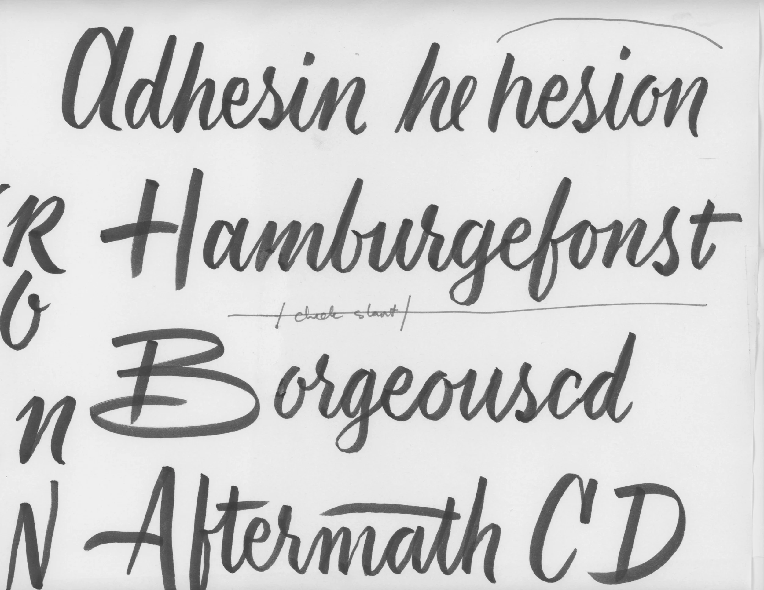 Monarda (Brush Script) — Terrance Weinzierl