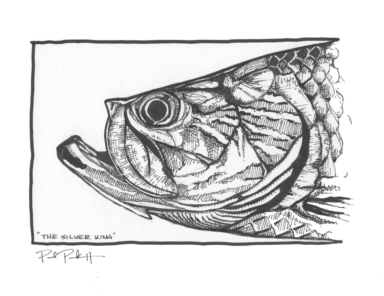 Tarpon Head Art