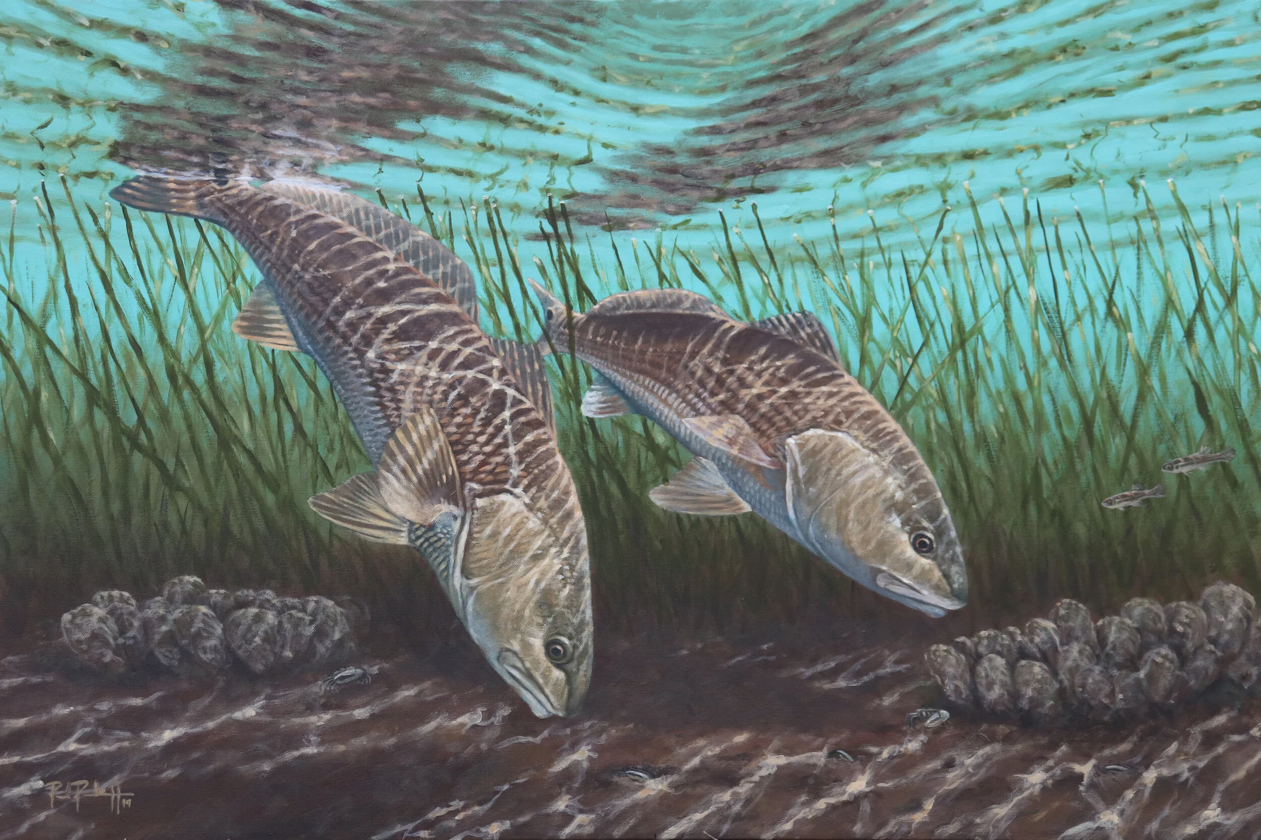 Sporting Art of Paul Puckett