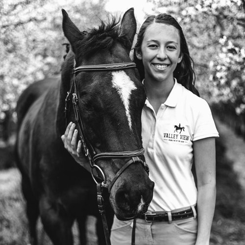 Valley View Equestrian