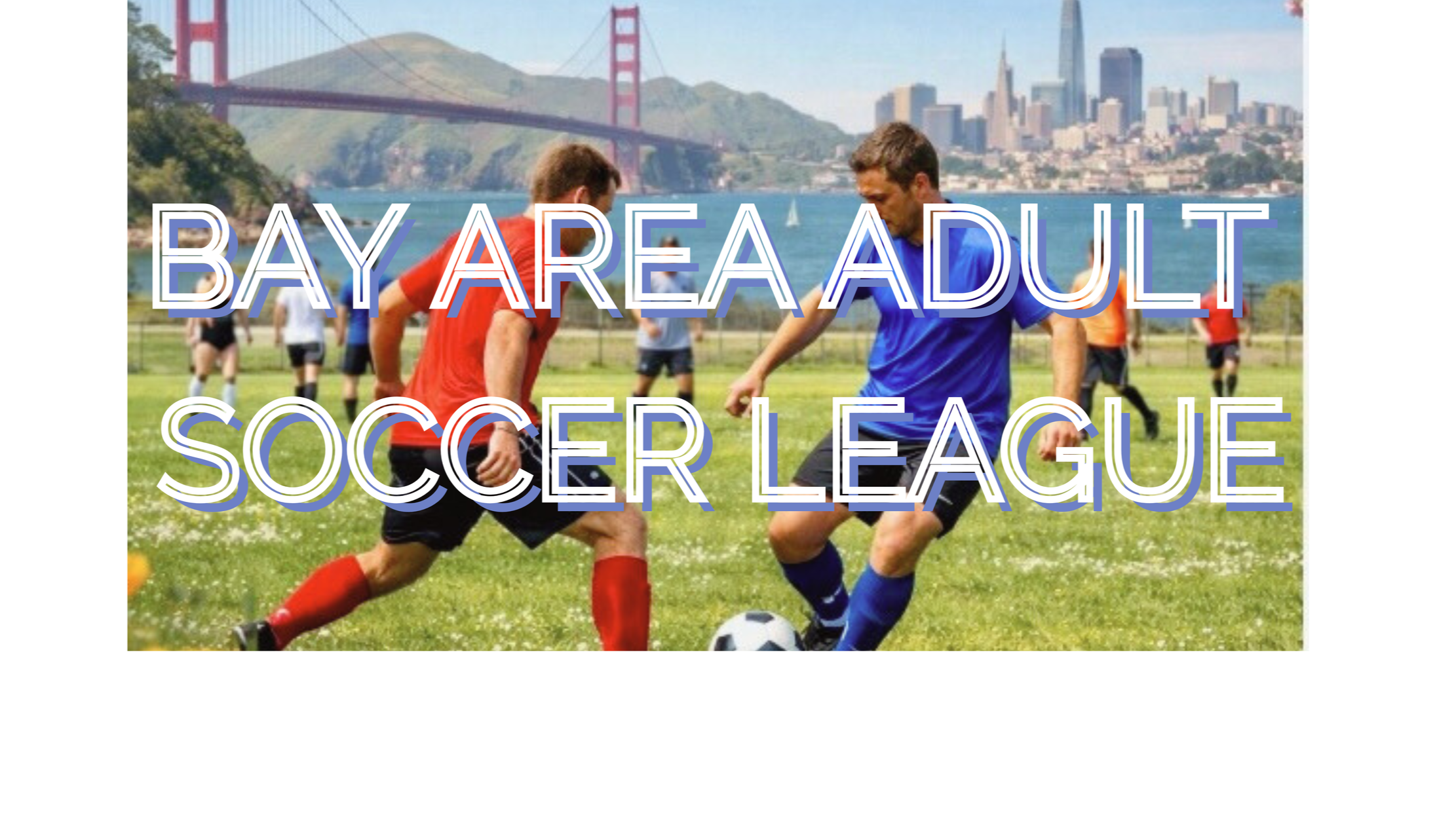 Bay Area Adult Soccer League