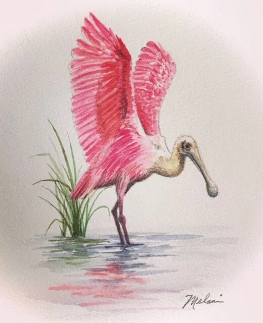 Spoonbill Watercolor SOLD — Melanie Smith Artistry