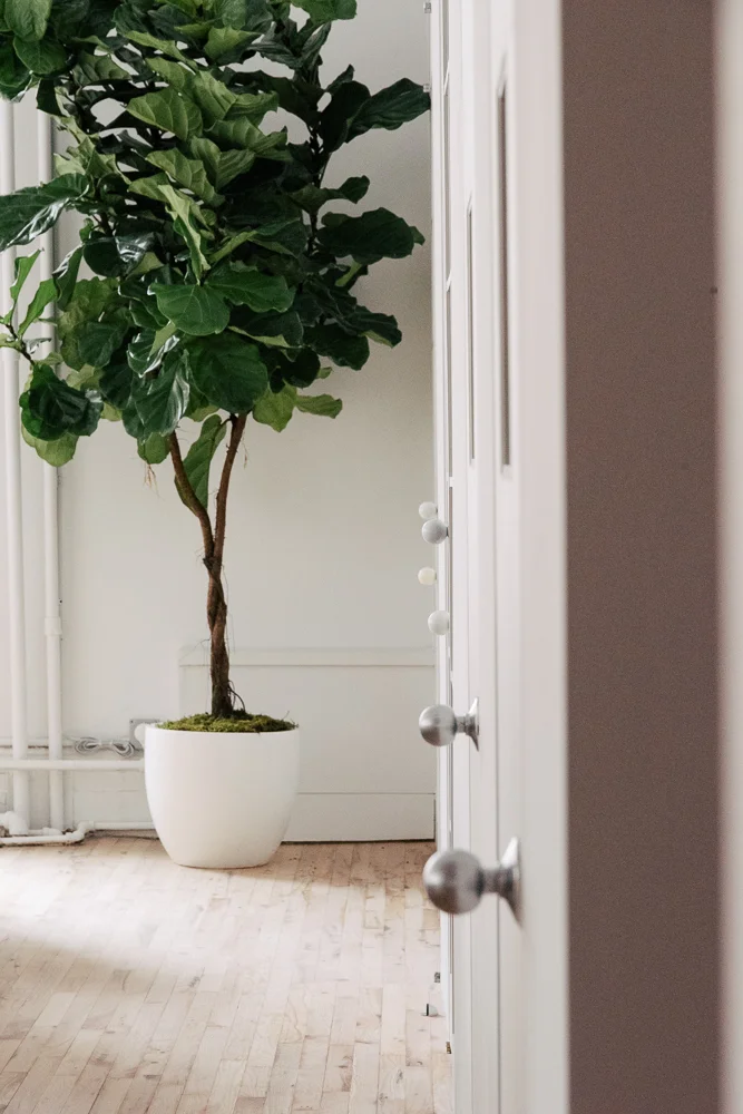 Billie Razors Office — office of tangible space