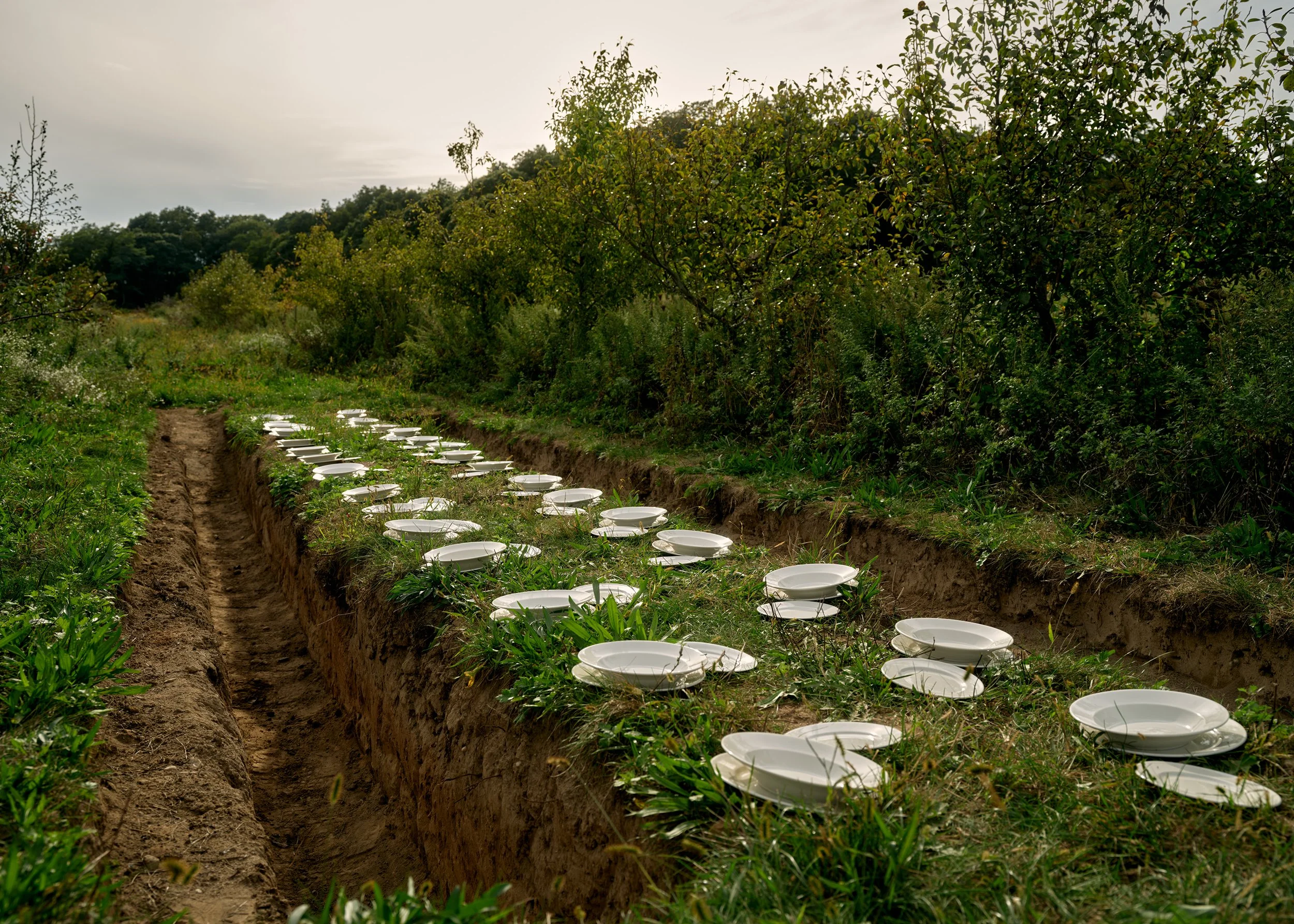 farm is table — office of tangible space